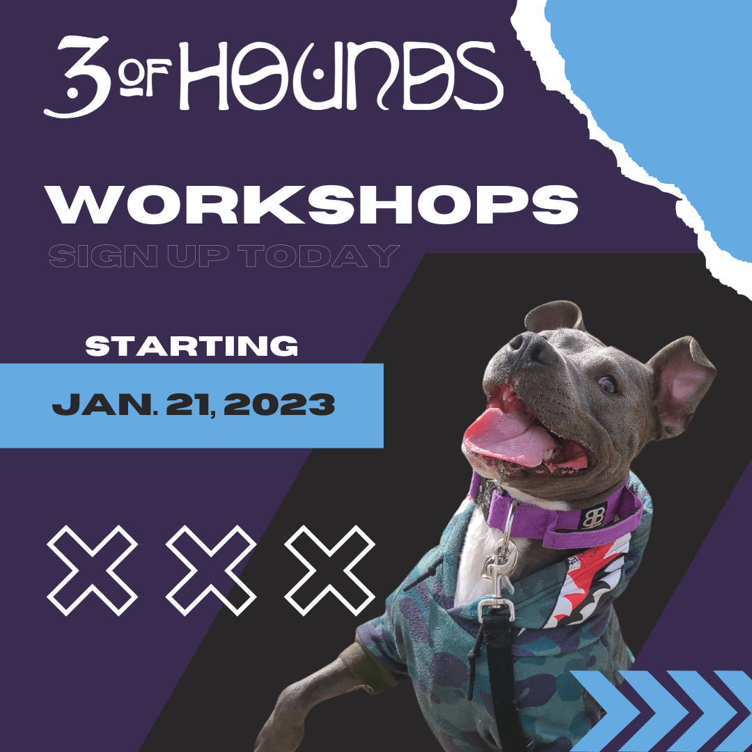 3 of Hounds Dog Training ||| Join the BARKSIDE today!